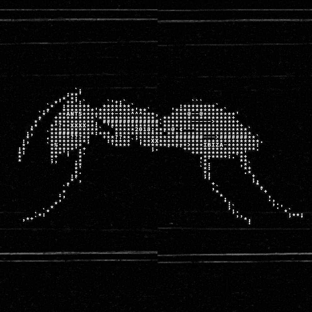 ANTS at USHUAÏA IBIZA ! | Ibiza by night ANTS at USHUAÏA IBIZA ! | Ibiza by night